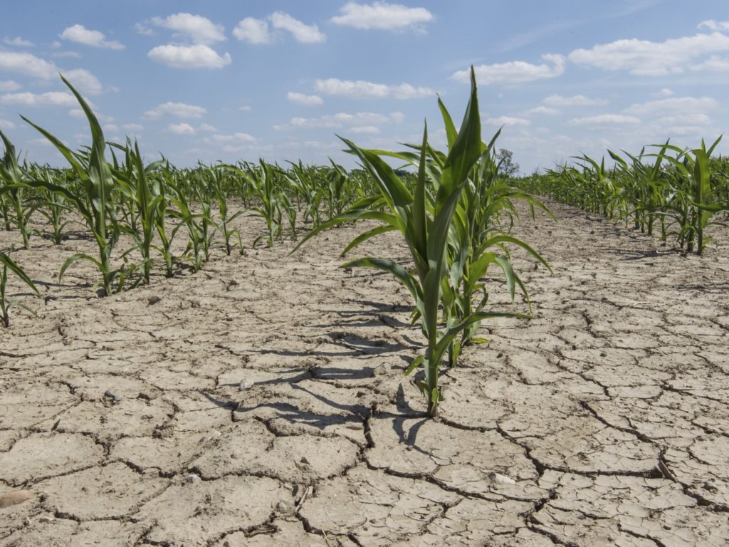 Adam’s sin brought death, so death spread to everyone, for everyone ...